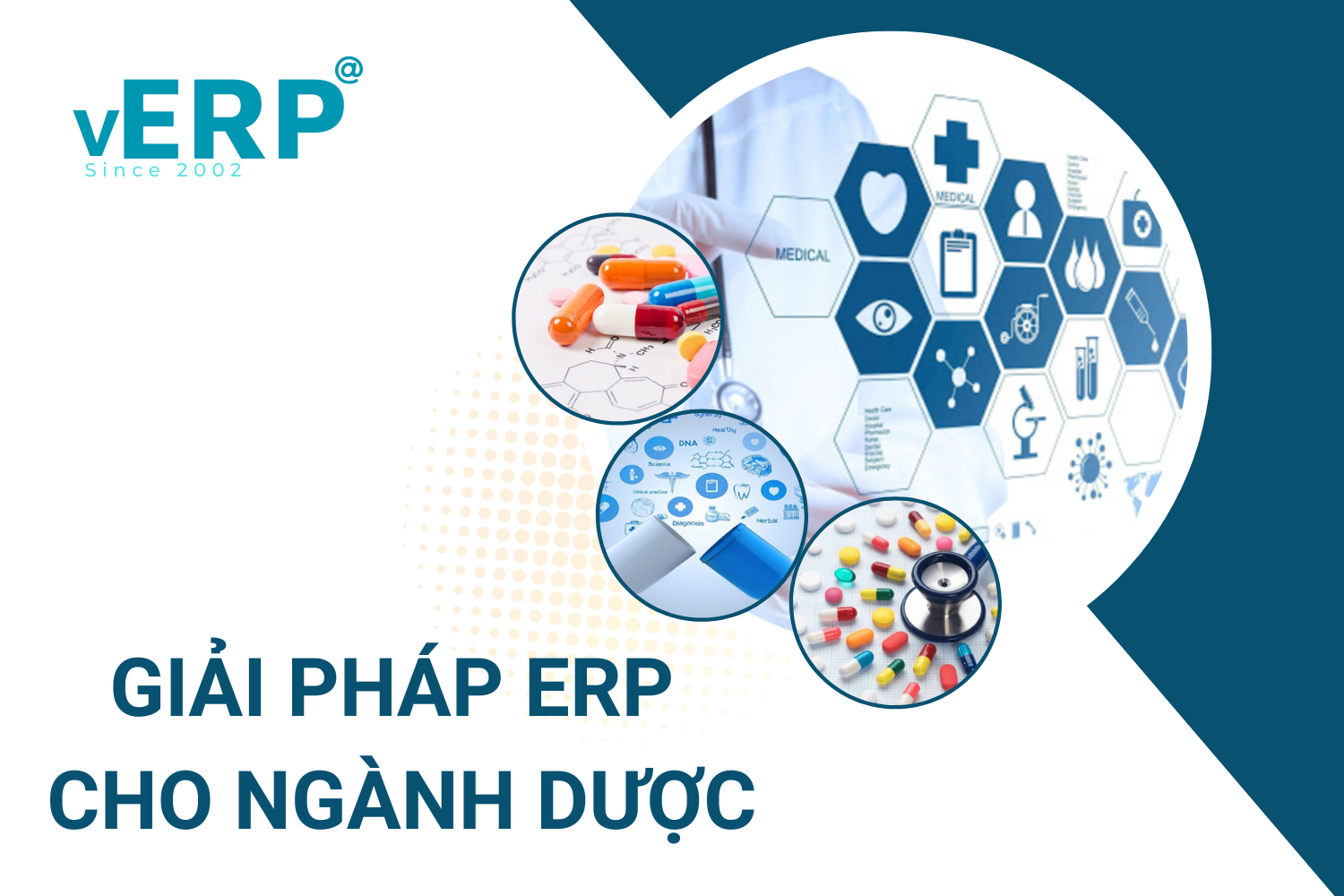 vERP for Pharmaceutical - ERP VIỆT