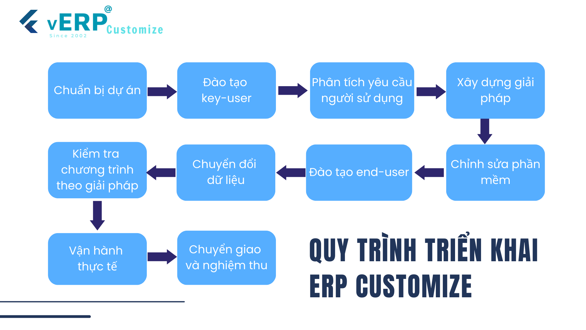 vERP Customzise - ERP VIỆT