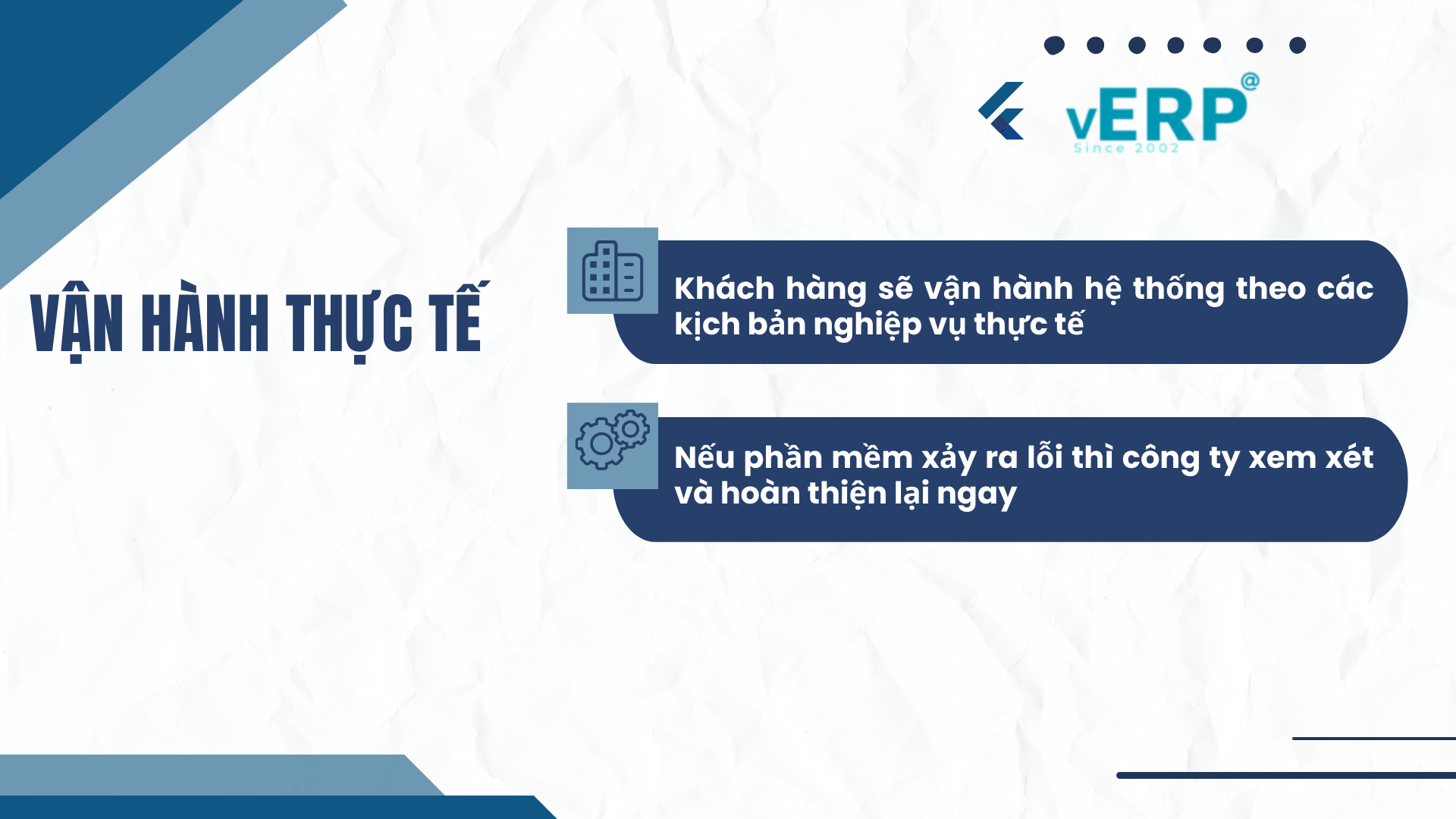 vERP Customzise - ERP VIỆT